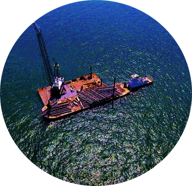 Lesner Bridge - Cabbage Patch Reef - MAP Environmental