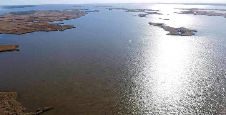Back Bay Marsh Terraces - MAP Environmental