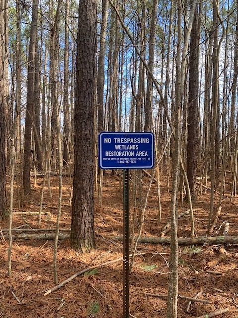 Lake Gaston Mitigation Site....Revisited - MAP Environmental